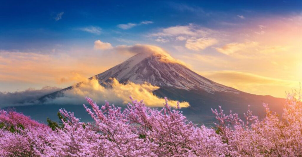 A Day Admiring Fujisan: An Unforgettable Journey to Japan's Majestic ...
