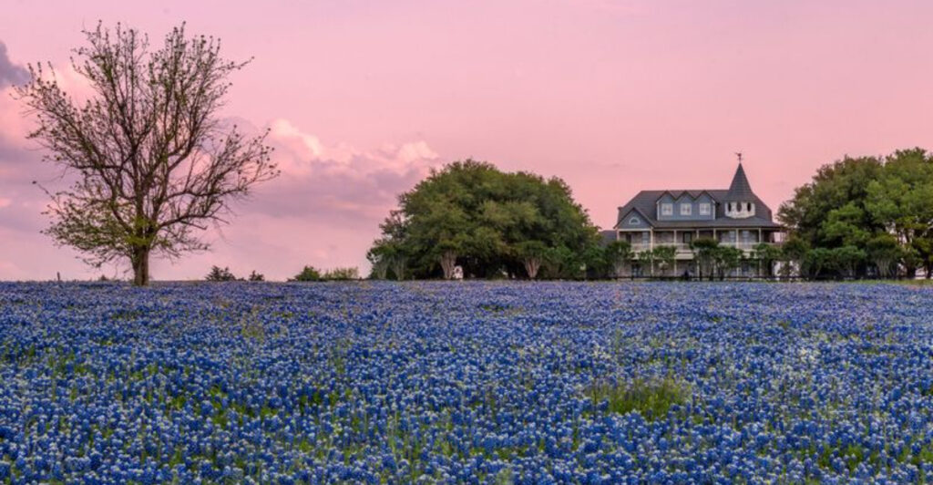 One Of Texas' Prettiest Towns Is An Artsy Outdoor Paradise Hidden In ...