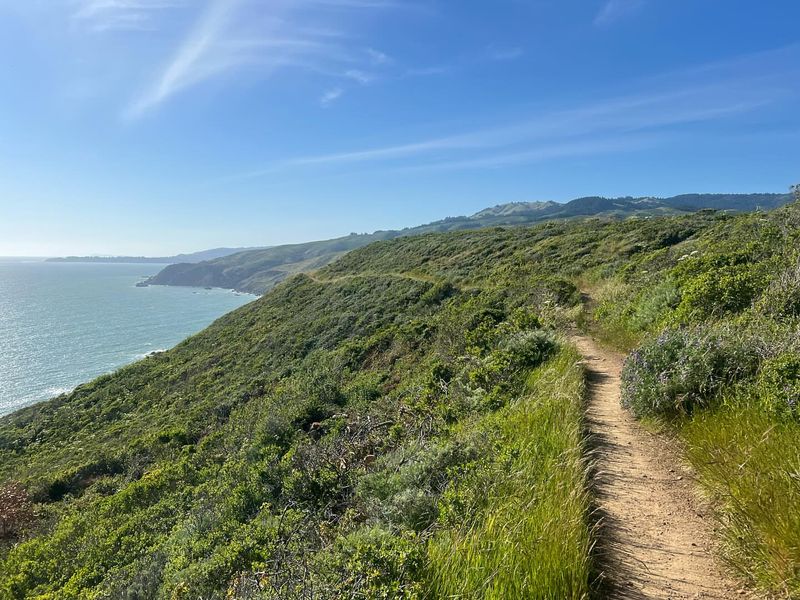 The 32 Most Beautiful Coastal Trails In America