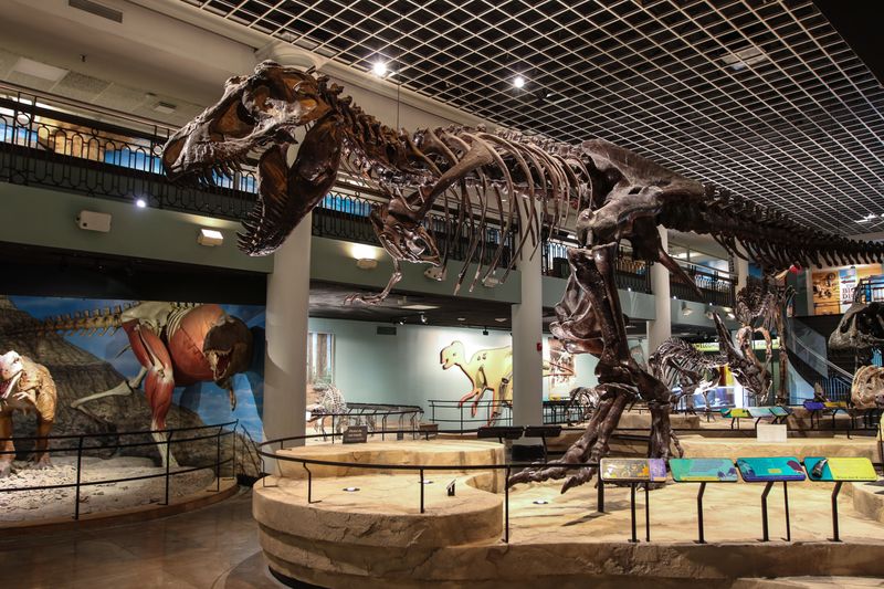 30 Dinosaur Attractions That Are Fun For The Whole Family