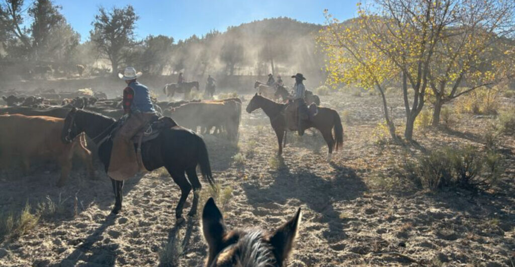 The 15 Best States To Experience American Cowboy Culture